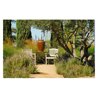 Napa Style Residence - Mediterranean - Landscape - Other - by Westfall ...
