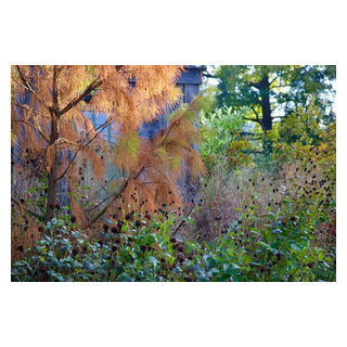 Narberth, PA - Landscape Restoration & Hardscaping - Farmhouse ...