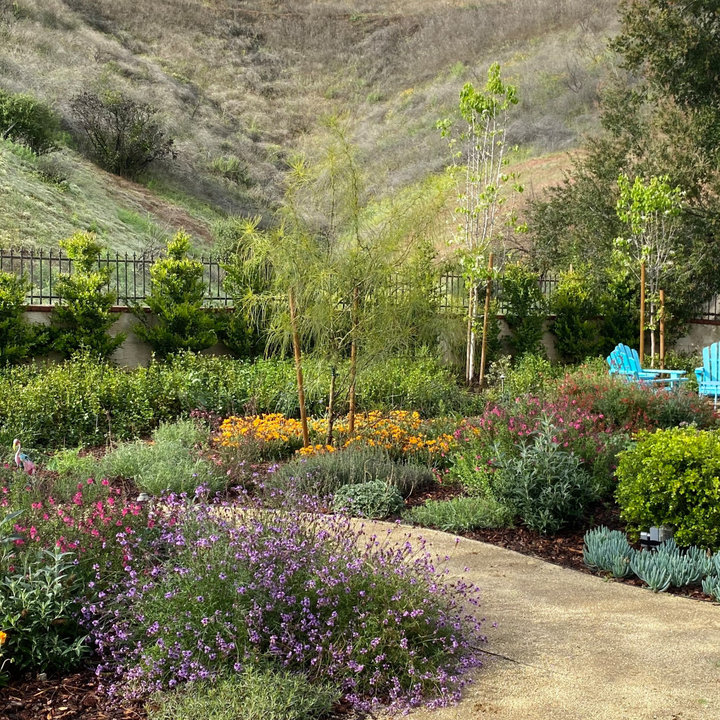 75 Beautiful Australian Native Garden Ideas & Designs - November 2022 ...