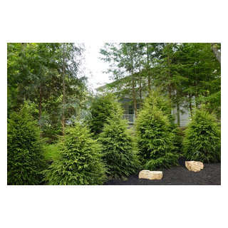 Native Hemlock Hedge - Rustic - Garden - Portland Maine - by Thomas ...