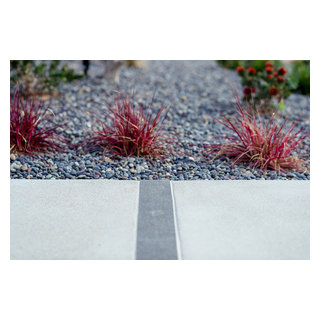 native landscape detail at basalt + concrete exterior stair ...