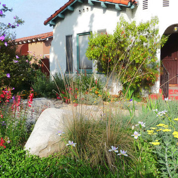 Purple Hopseed Bush - Photos & Ideas | Houzz