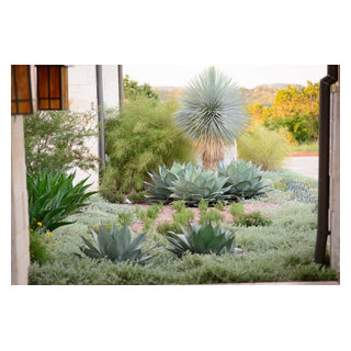 Native Planting Scheme - Modern - Landscape - Austin - by Eden Garden ...