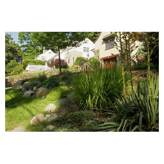 Native Plants for New Construction - Traditional - Landscape - New York ...