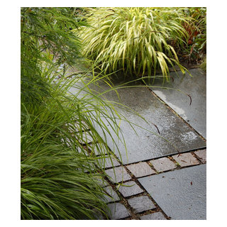 Native Root Designs - Contemporary - Landscape - Seattle | Houzz