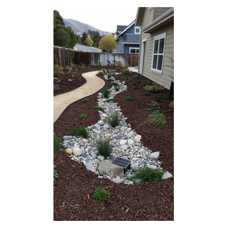 Natural Drainage - Traditional - Landscape - San Luis Obispo - by ...
