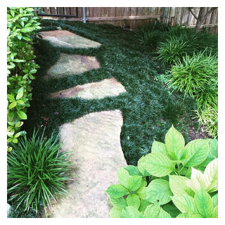 Natural landscapes - Traditional - Landscape - Dallas - by Clients ...