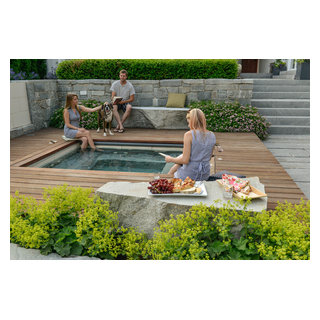 New England Poolscape - Contemporary - Landscape - Boston - by ZEN ...