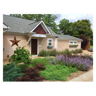 New front garden. - Contemporary - Landscape - Charlotte - by Jay ...