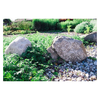 No-mow Front Yard - Transitional - Landscape - Toronto - by Wild Craft ...