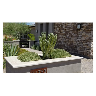 North Scottsdale - Rancho Terrasina - Contemporary - Landscape ...