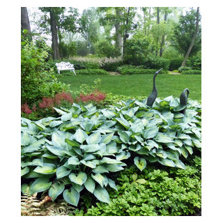 Northbrook Illinois Shade Garden in June - Traditional - Landscape ...