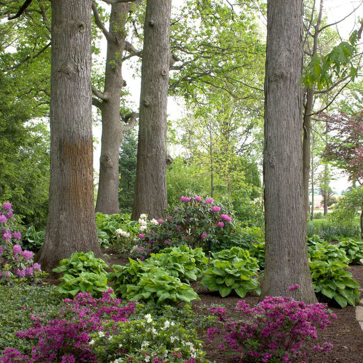 75 Landscaping Ideas You'll Love - October, 2025 | Houzz