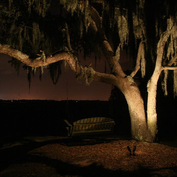 Live Oak Tree Landscaping - Photos & Ideas | Houzz