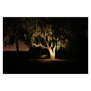 Oak Tree Lighting - Landscape - Charleston - by Moonlighting Landscape ...
