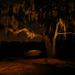 Oak Tree Lighting | Houzz