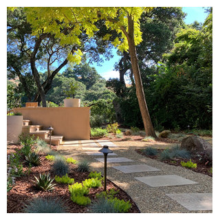 Oak Tree Setting With Hillside Views, Landscape Renovation, Northern ...