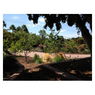 One acre Landscape Design project - Traditional - Landscape - San Diego ...