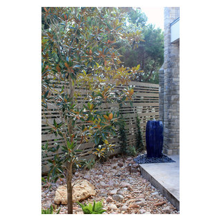 Operation Neighbor Screen - Modern - Landscape - Austin - by Southern ...