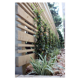 Operation Neighbor Screen - Modern - Landscape - Austin - by Southern ...