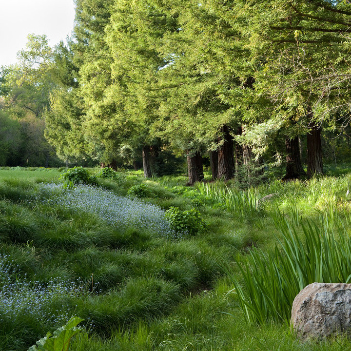 Landscaped Drainage Ditch - Photos & Ideas | Houzz