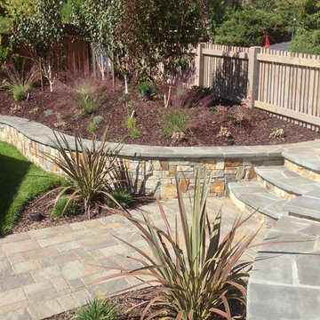 Multi Trunk Crepe Myrtles Ideas - Photos & Ideas | Houzz