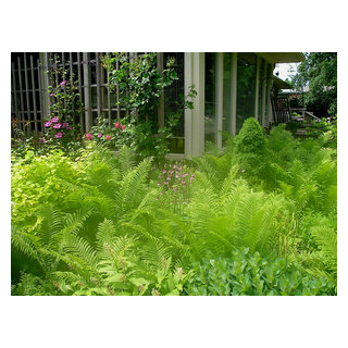 Ostrich Fern Filled Garden - Eclectic - Garden - Minneapolis - by Heart ...