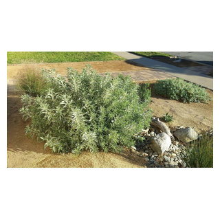 Our Work - Traditional - Landscape - Orange County - by California ...