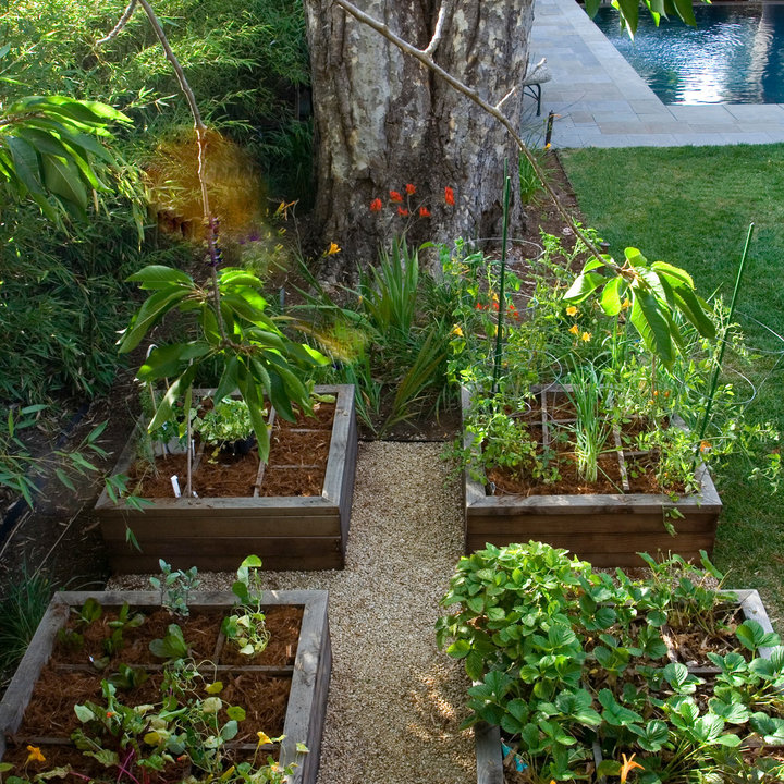 Foursquare - Photos & Ideas | Houzz