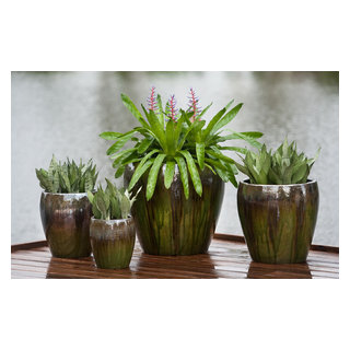 Palm Beach Container Gardens - Tropical - Landscape - Miami - by User ...