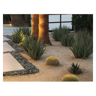 palm springs mid-century remodel - Midcentury - Landscape - Los Angeles ...