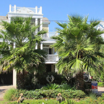Palm Trees In Front Yards - Photos & Ideas | Houzz