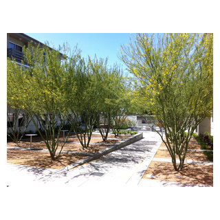 Palos Verde Apartments - Contemporary - Landscape - Los Angeles - by ...