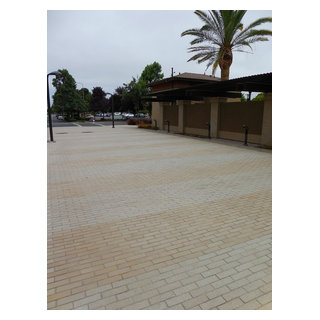 Paragon in Fremont - Traditional - Landscape - San Francisco - by ...