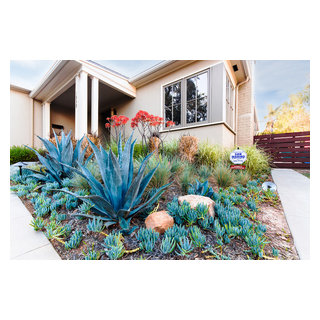 Pasadena Sustainable Planting - Contemporary - Landscape - Los Angeles ...