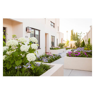 Penny Lane - Contemporary - Landscape - San Francisco - by Design Focus ...