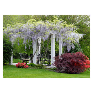 Pergola in Spring! - Traditional - Landscape - Boston - by Creative ...