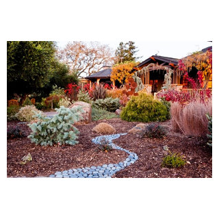 Petaluma Ranch - Traditional - Landscape - San Francisco - by ...