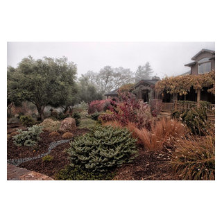 Petaluma Ranch - Traditional - Landscape - San Francisco - by ...