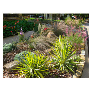 Pi House Xeric median - Modern - Garten - Oklahoma City - von Eco ...