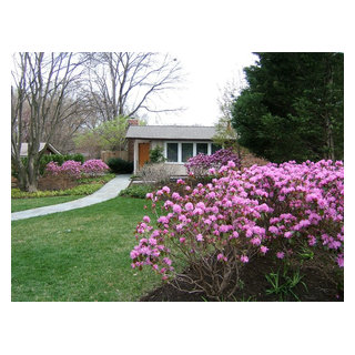 PJM Rhododendron has fall foliage interest, too - Traditional - Entry ...