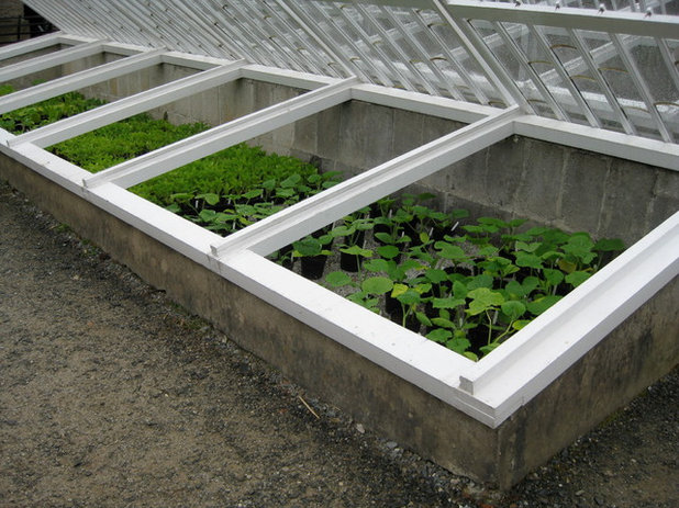 Extend Your Growing Season With a Cold Frame in the Garden