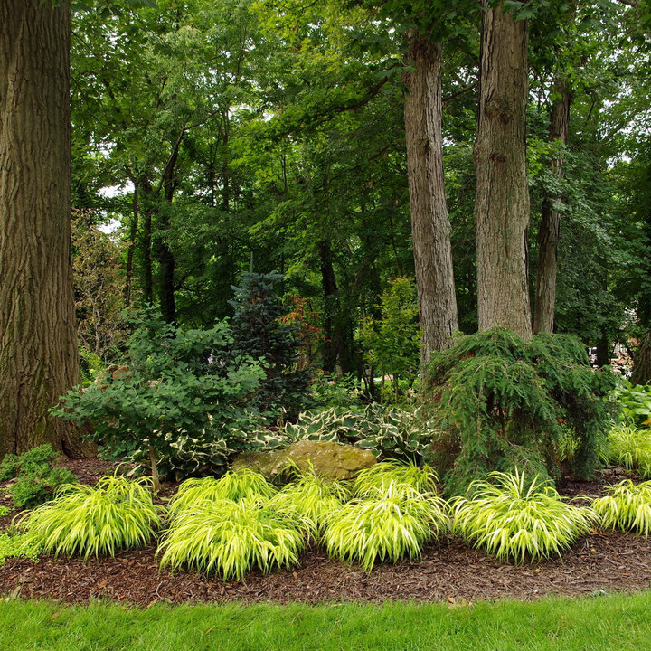 75 Mulch Landscaping Ideas You'll Love - April, 2025 | Houzz
