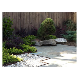 Plaza Midwood Backyard - Contemporary - Landscape - Charlotte - by Jay ...