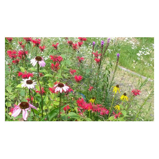 Pollinator Garden - Rustic - Landscape - Philadelphia - by Earth First ...