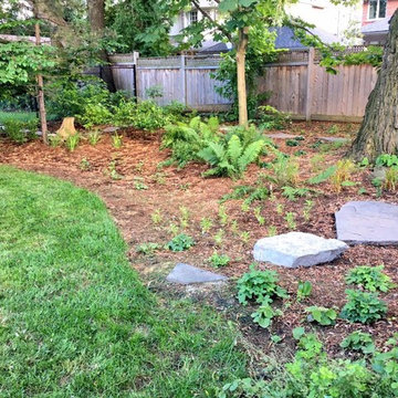 Rain Garden Pond - Photos & Ideas | Houzz