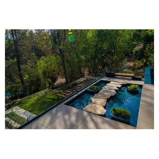 Pond next to the infinity pool - Contemporary - Landscape - Los Angeles ...