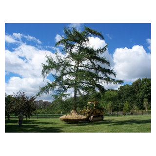 Pond Side Home for a Relocated Tree - Traditional - Landscape ...