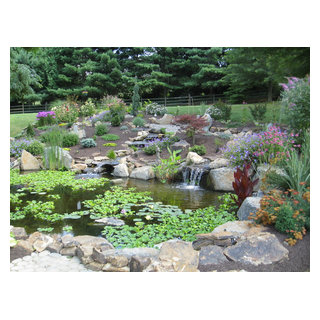 Pond - Traditional - Landscape - Philadelphia - by Turpin Landscape ...