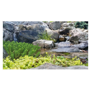 Pondless Waterfall For the Birds Pond Stars - Traditional - Garden ...